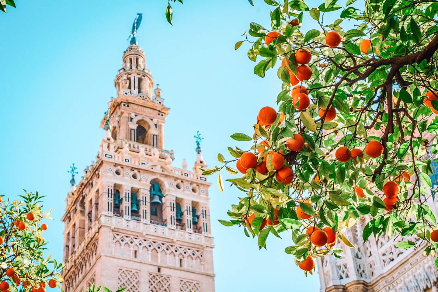 25 Magical Things To Do In Seville Spain - Little Wanderblog