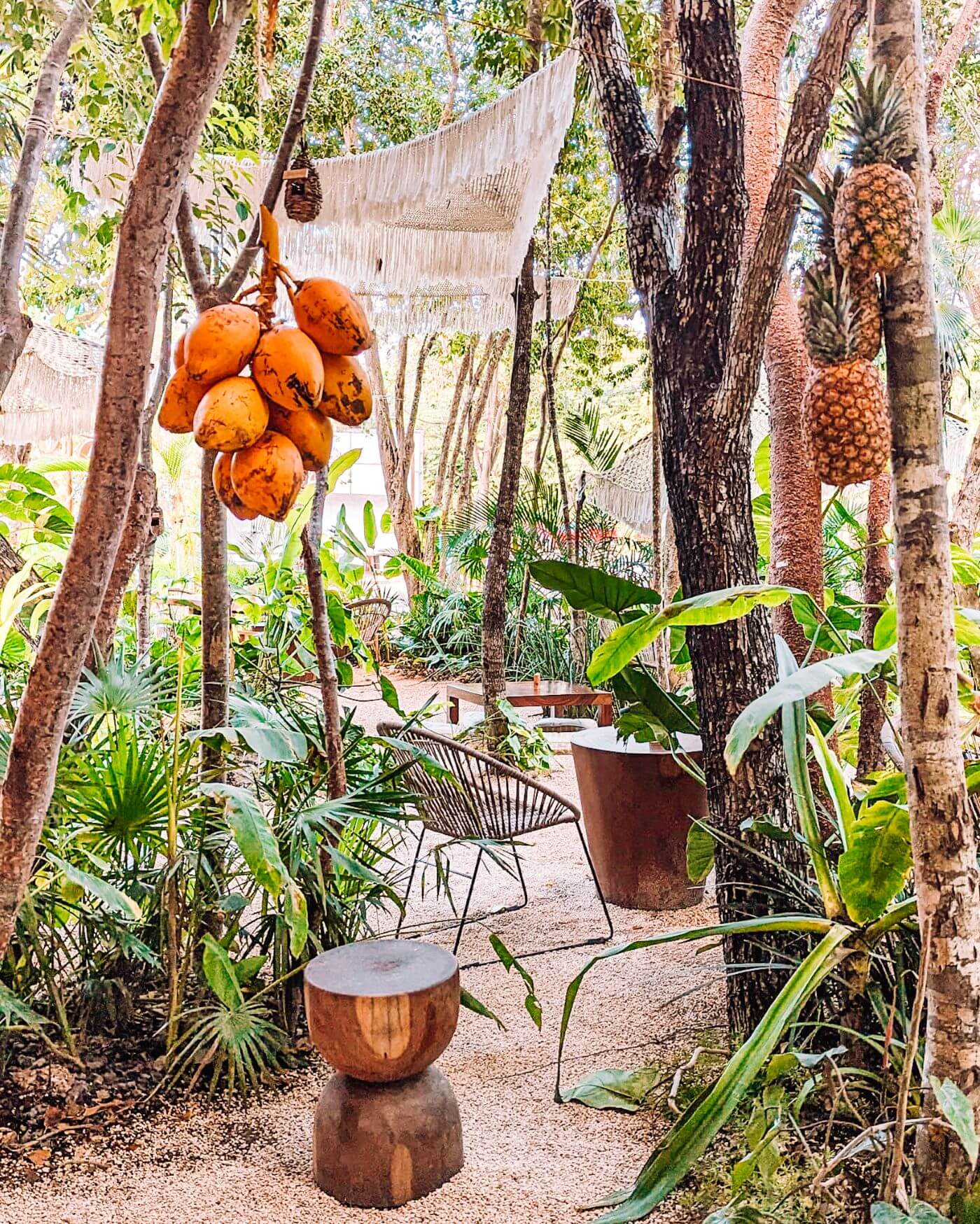 A Foodies Guide To The Best Restaurants In Tulum - Little Wanderblog