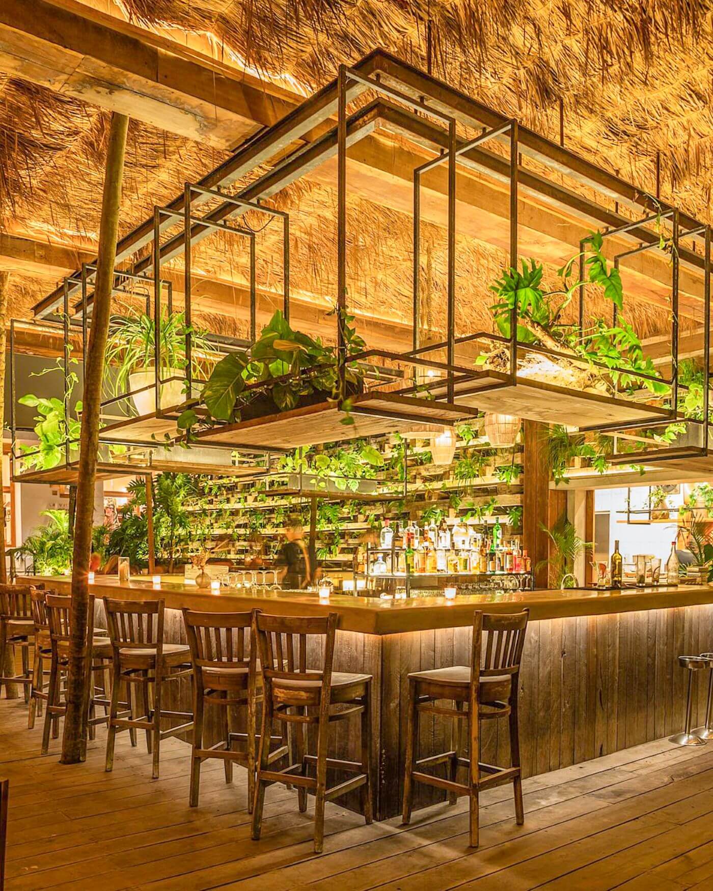 A Foodies Guide To The Best Restaurants In Tulum - Little Wanderblog